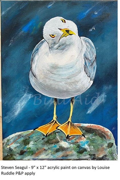 gregory gull is fundraising for BIRD AID