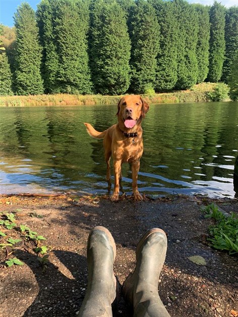 Jade Freeman Is Fundraising For Battersea