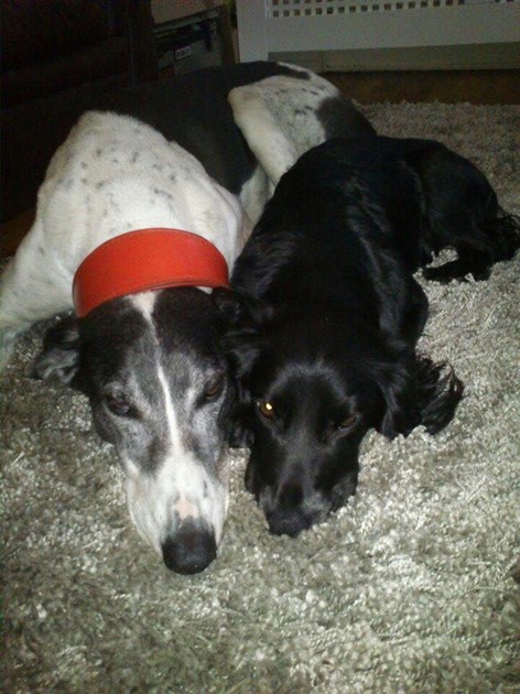 Dawn Doran is fundraising for Cancer Research UK