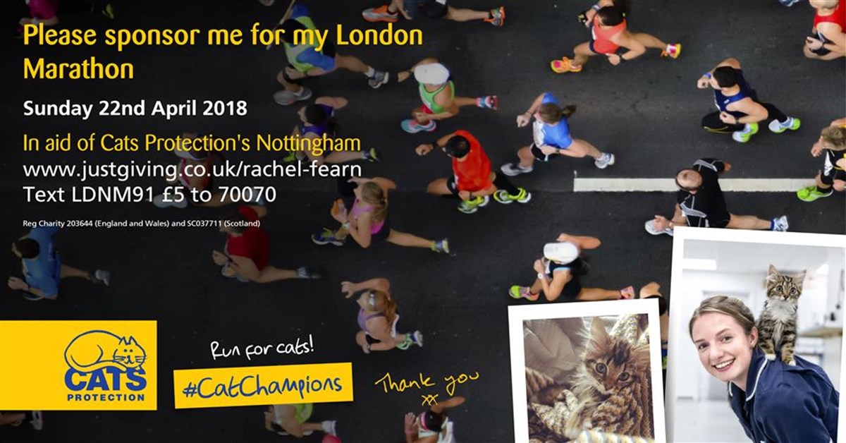 Rachel Fearn is fundraising for Cats Protection