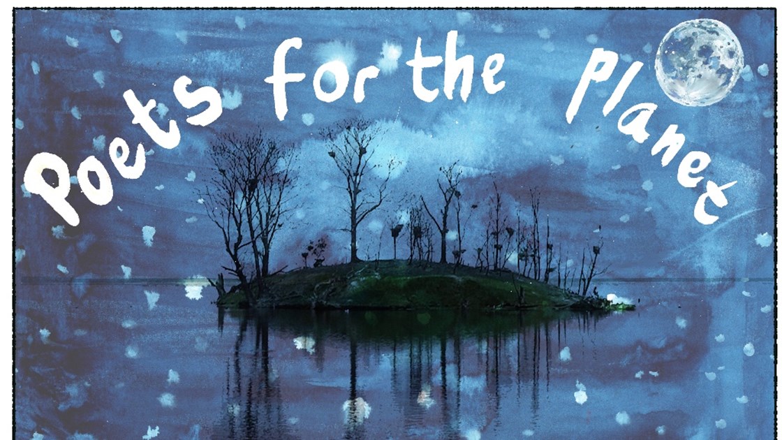 Fiona Cartwright is fundraising for Bees for Development CIO