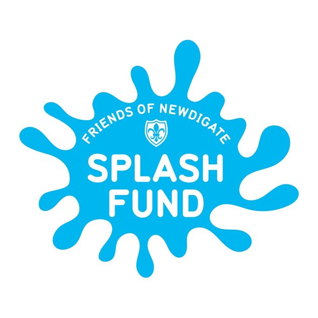 Chair FONS is fundraising for Newdigate Infant School