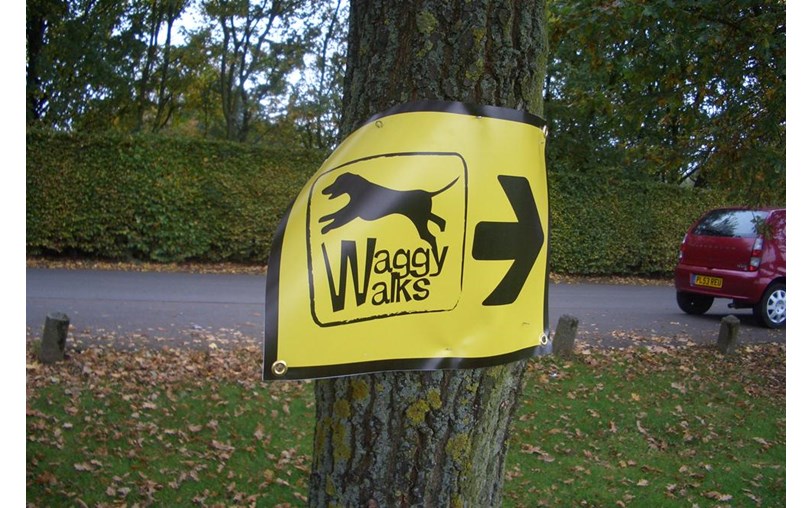 Sue Yates is fundraising for Dogs Trust