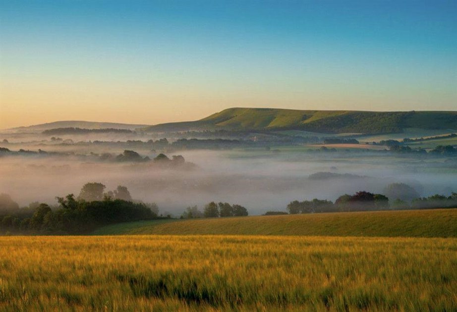 David Harrold is fundraising for Pulmonary Hypertension Association UK