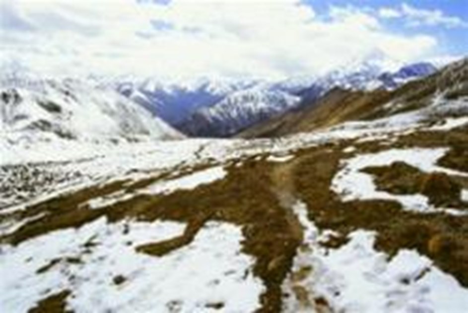 Ben Hopkinson is fundraising for Freedom from Torture