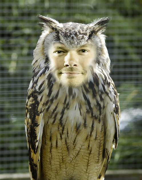 Bill Adcock is fundraising for Action for A-T