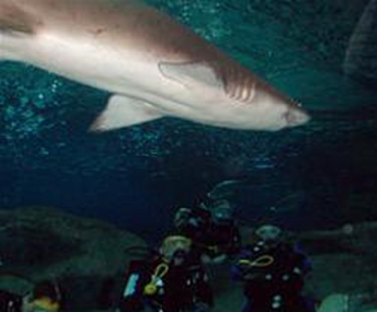 Ray Foster is fundraising for Deafblind UK