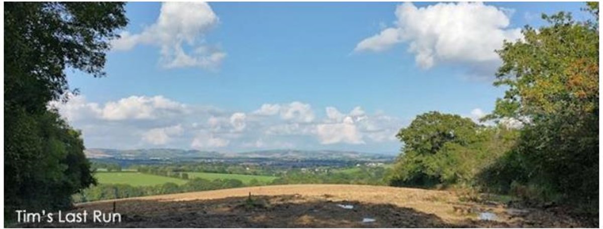 Tim's run - Marie Curie donations is fundraising for Marie Curie