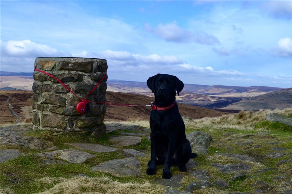 Stephen Greenway is fundraising for Mind