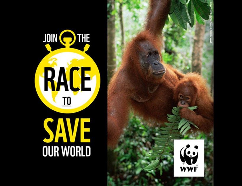 Sam Joynson is fundraising for WWF-UK