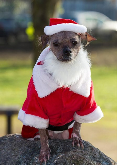 Bev Nicholson is fundraising for East Anglia's Children's Hospices