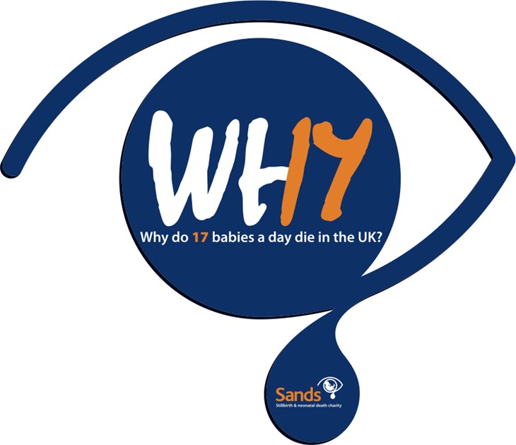 maria gormley is fundraising for Sands