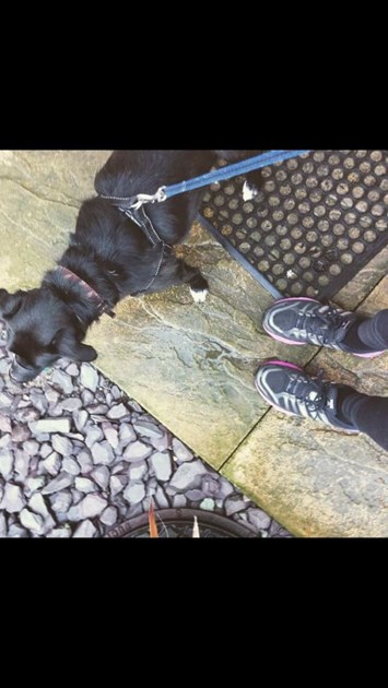 Abigail Draper is fundraising for Bowel Research UK