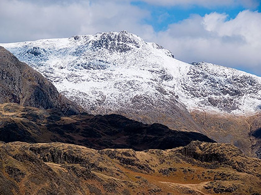 David Gilder is fundraising for Royal Papworth Hospital Charity