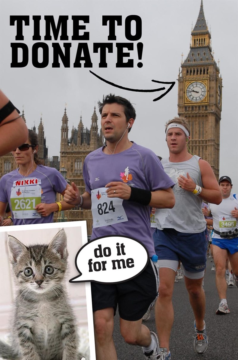 Gavin Reeve-Daniels is fundraising for Celia Hammond Animal Trust