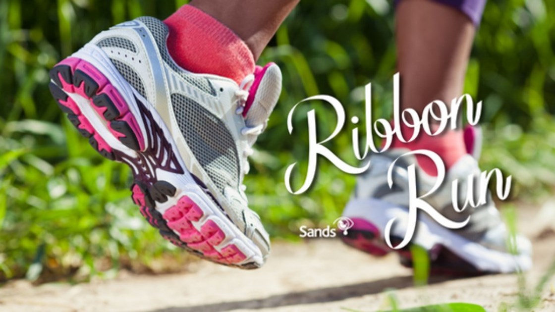 maria gormley is fundraising for Sands