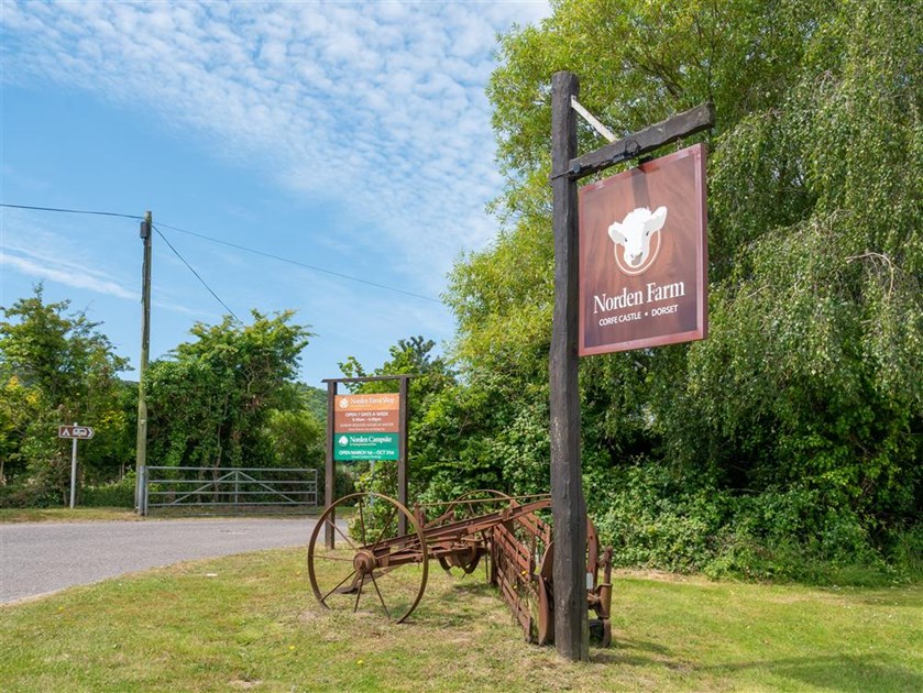 Kirsty Anstey is fundraising for Marie Curie