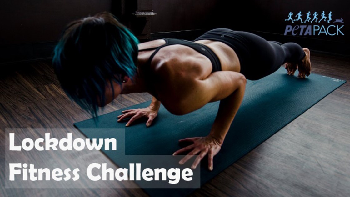 Lilli Hammond is fundraising for People For The Ethical Treatment Of ...