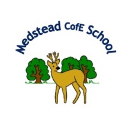 Medstead Primary School is fundraising for Comic Relief