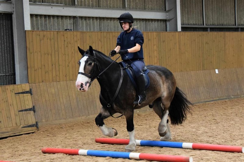 Olivia Gilmore is fundraising for The Fortune Centre Of Riding Therapy