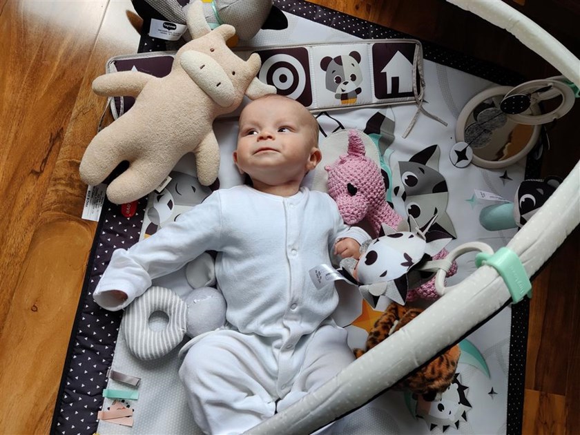 Max and Janet Chan is fundraising for Tree of Hope