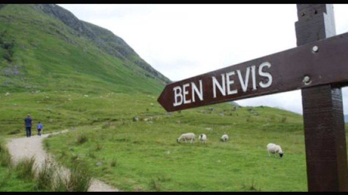 Liz Felton is fundraising for Macmillan Cancer Support