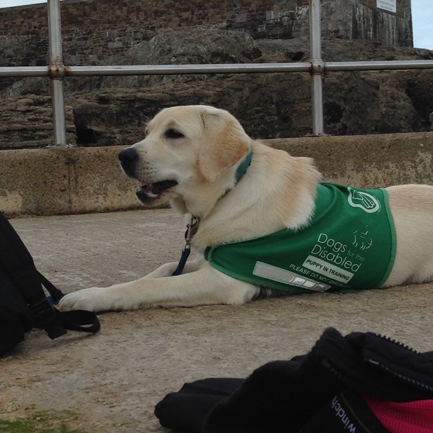 Simon Jagger is fundraising for Dogs For Good