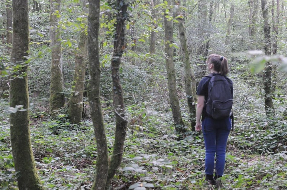 Keyana Jeffrey is fundraising for Rewilding Britain