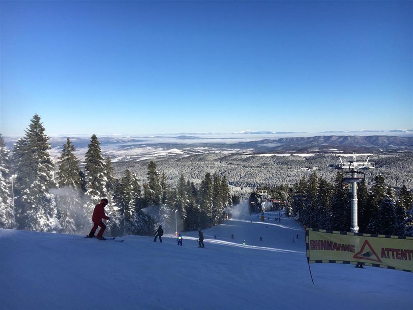Jemima Benstead is fundraising for DUCK