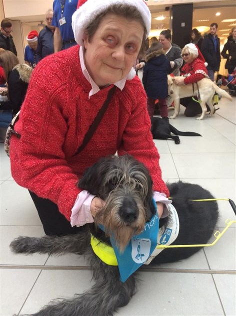 Amanda Hodgkinson is fundraising for Moorfields Eye Charity