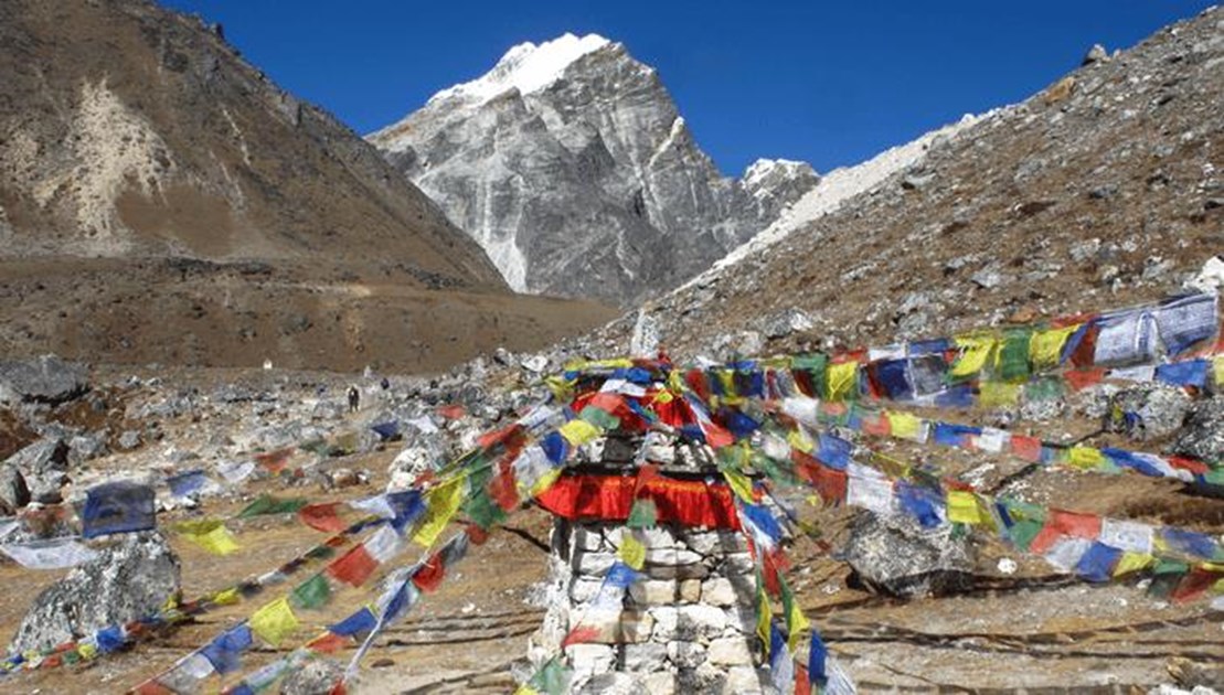 Alex Hardman is fundraising for Zoe's Place Trust - Middlesbrough