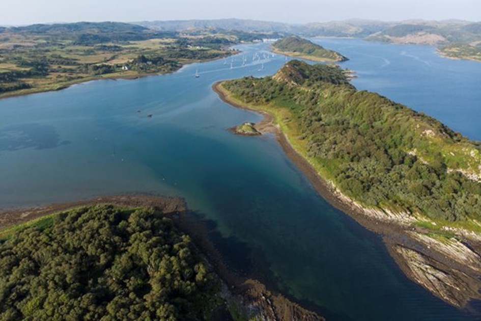 Alex Todhunter-Brown is fundraising for Seawilding