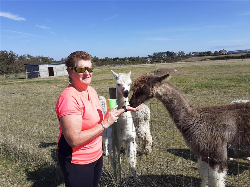 Julie O'Malley is fundraising for Be Kind Movement