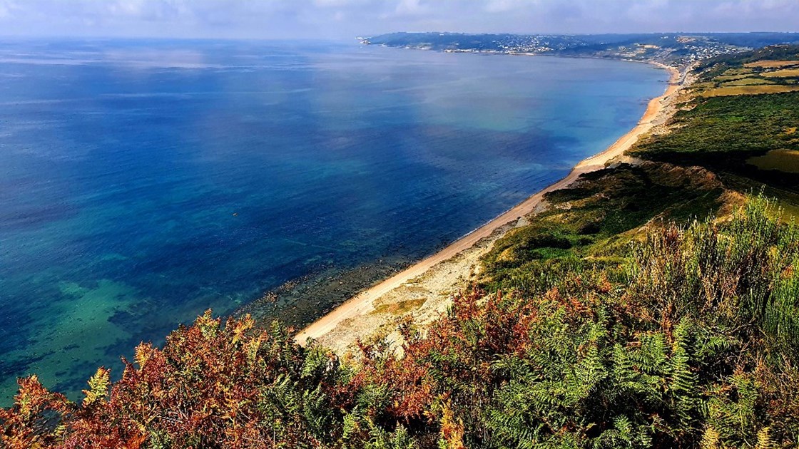 David Turcan is fundraising for Mind