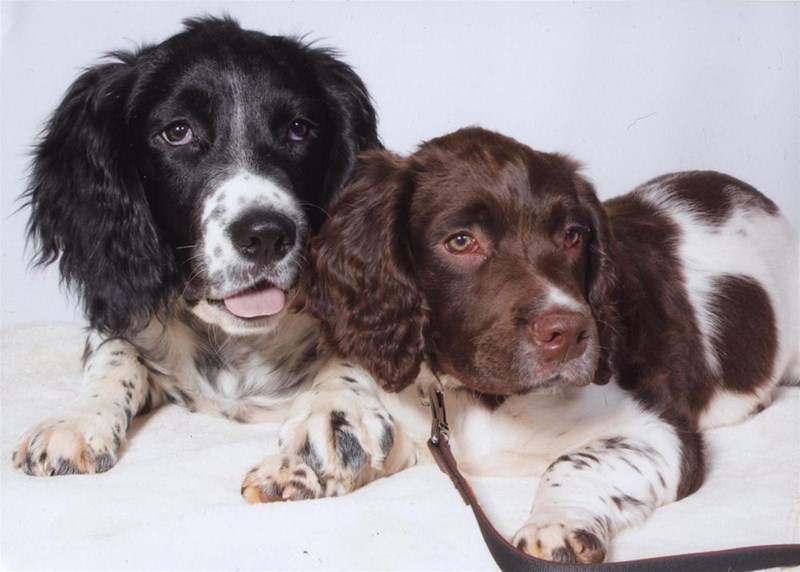 Kayley Anderson is fundraising for Thames Hospice