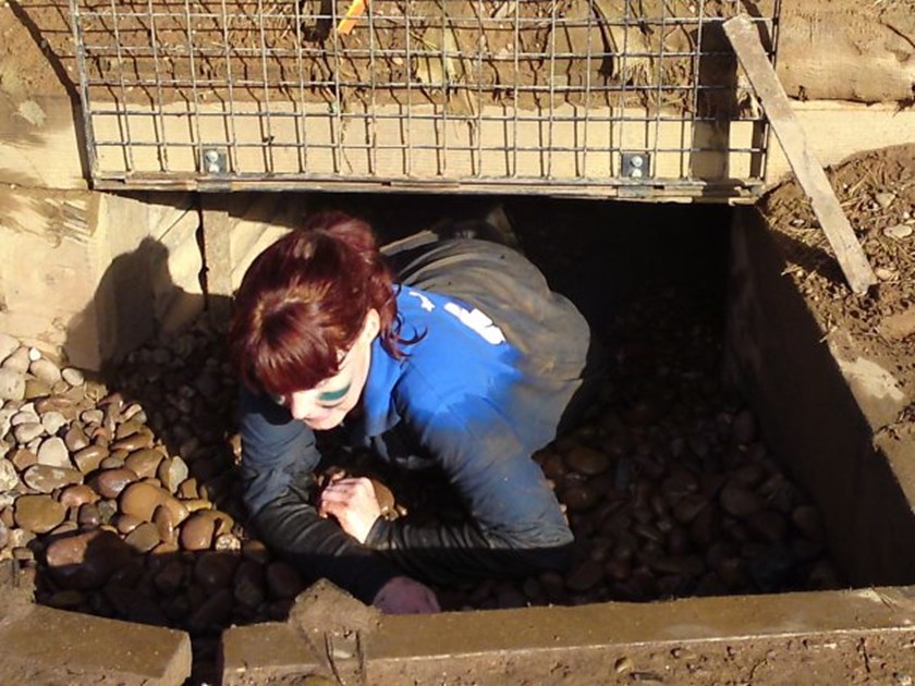 Sarah Begley is fundraising for Devon Air Ambulance Trust