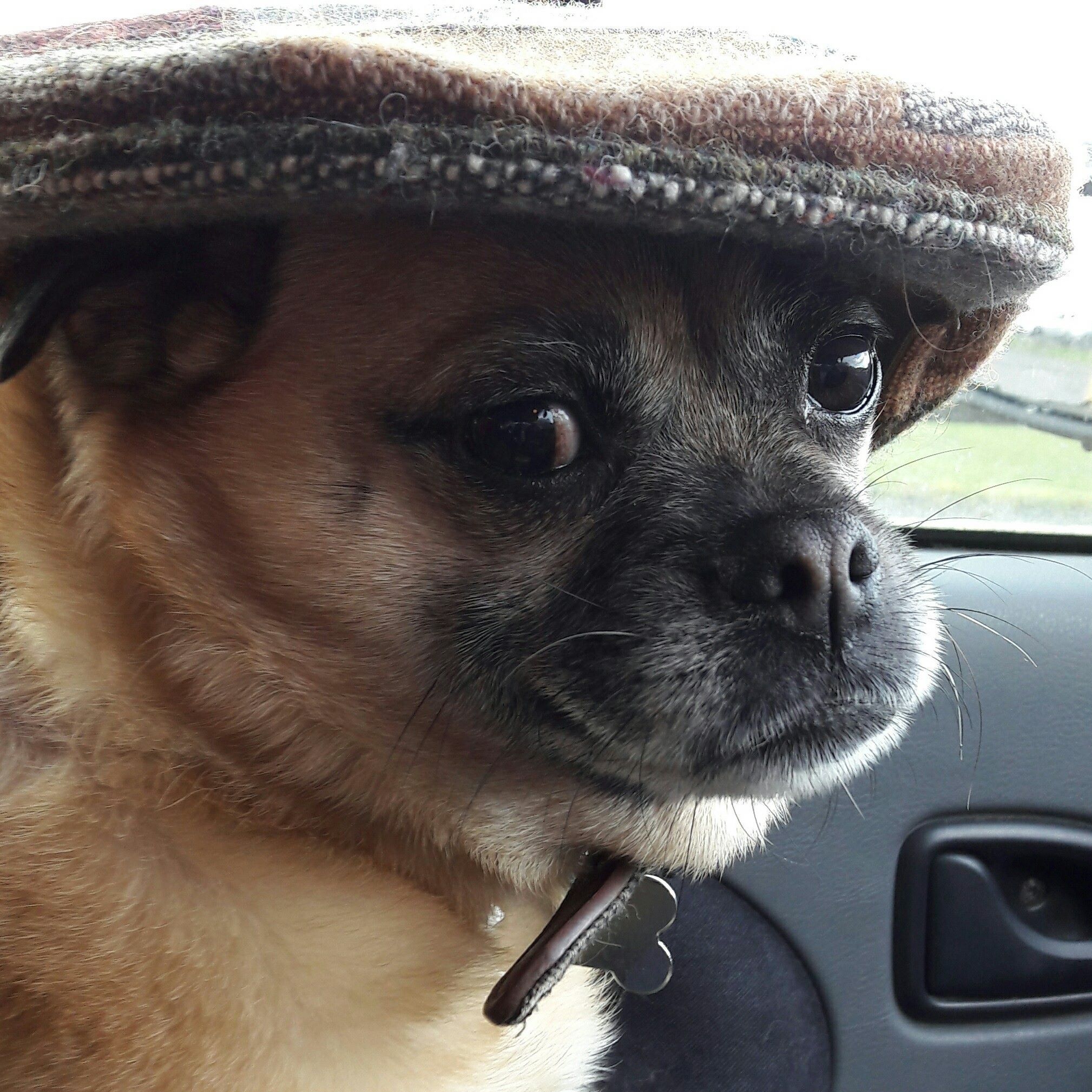 lizzy ford is fundraising for Macmillan Cancer Support