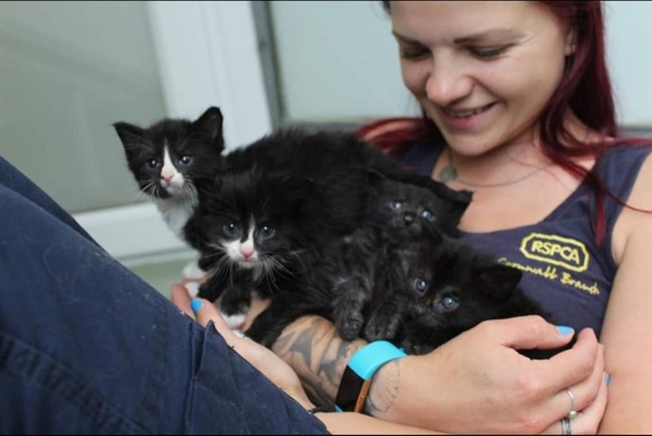 Heather McLay is fundraising for Royal Society For The Prevention Of ...