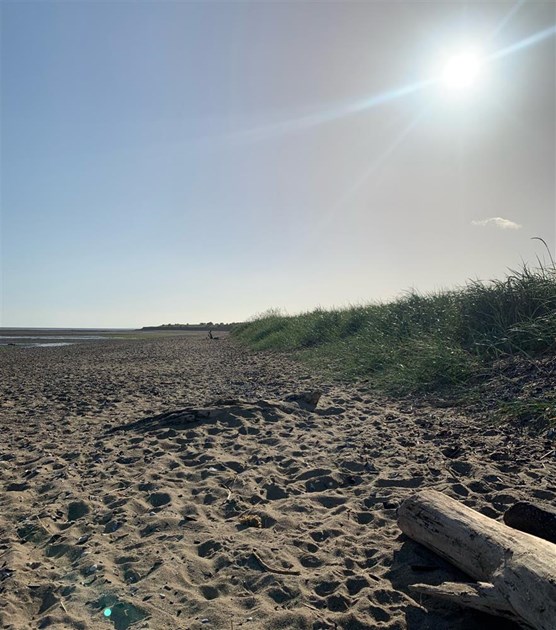 Sara & Giuseppe Scarfo is fundraising for The Kiltwalk