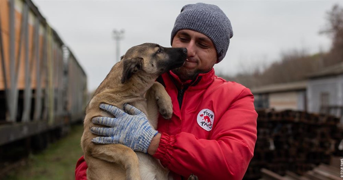 Holly Clements is fundraising for FOUR PAWS