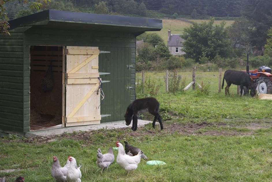 sandra lowson is fundraising for Maggie's Centres