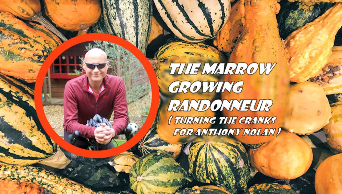 David Harmer is fundraising for Anthony Nolan