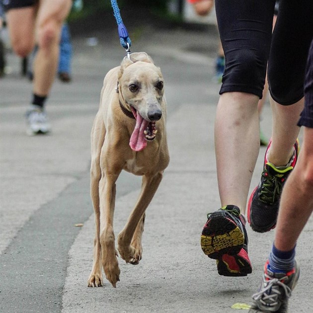 Helen Mort is fundraising for Shelter