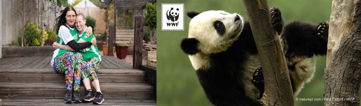 Is that a panda in your logo is fundraising for WWF-UK