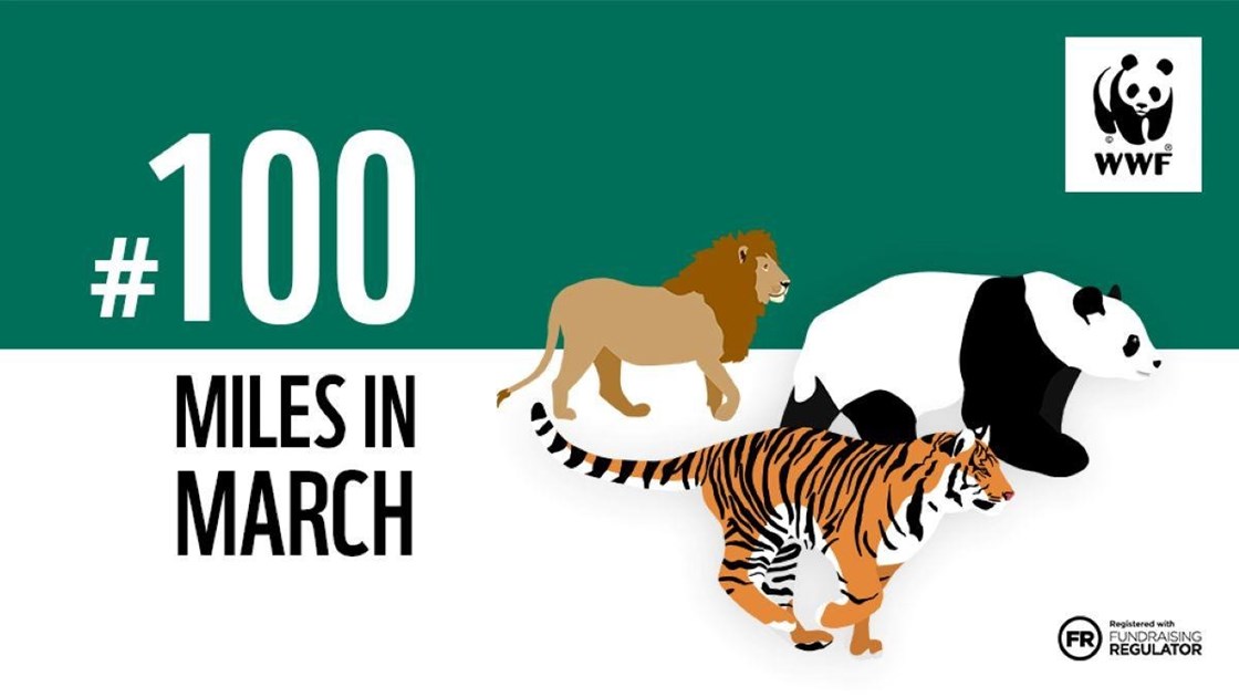 Someone wonderful is fundraising for WWF-UK