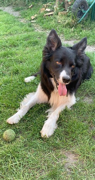 Faith Yates is fundraising for Baby Beat