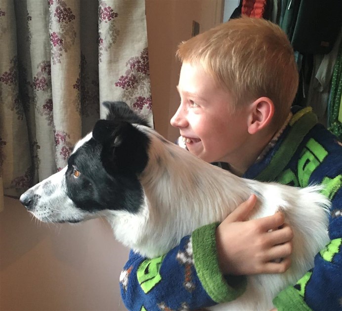 Matthew Breslin Burn is fundraising for Border Collie Trust GB