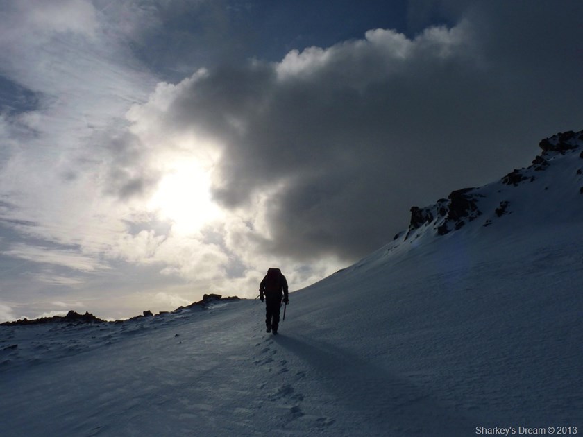Peter Codd is fundraising for British Heart Foundation