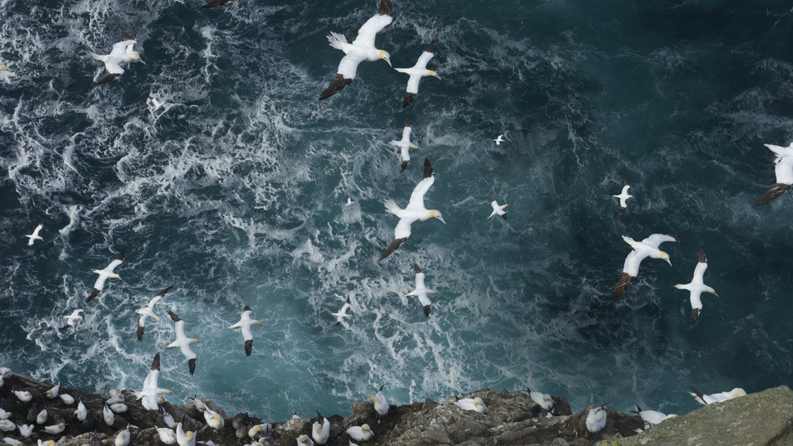 Benjamin Marriott is fundraising for RSPB