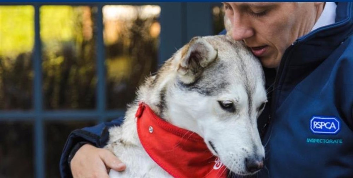 David Edis is fundraising for RSPCA West Norfolk